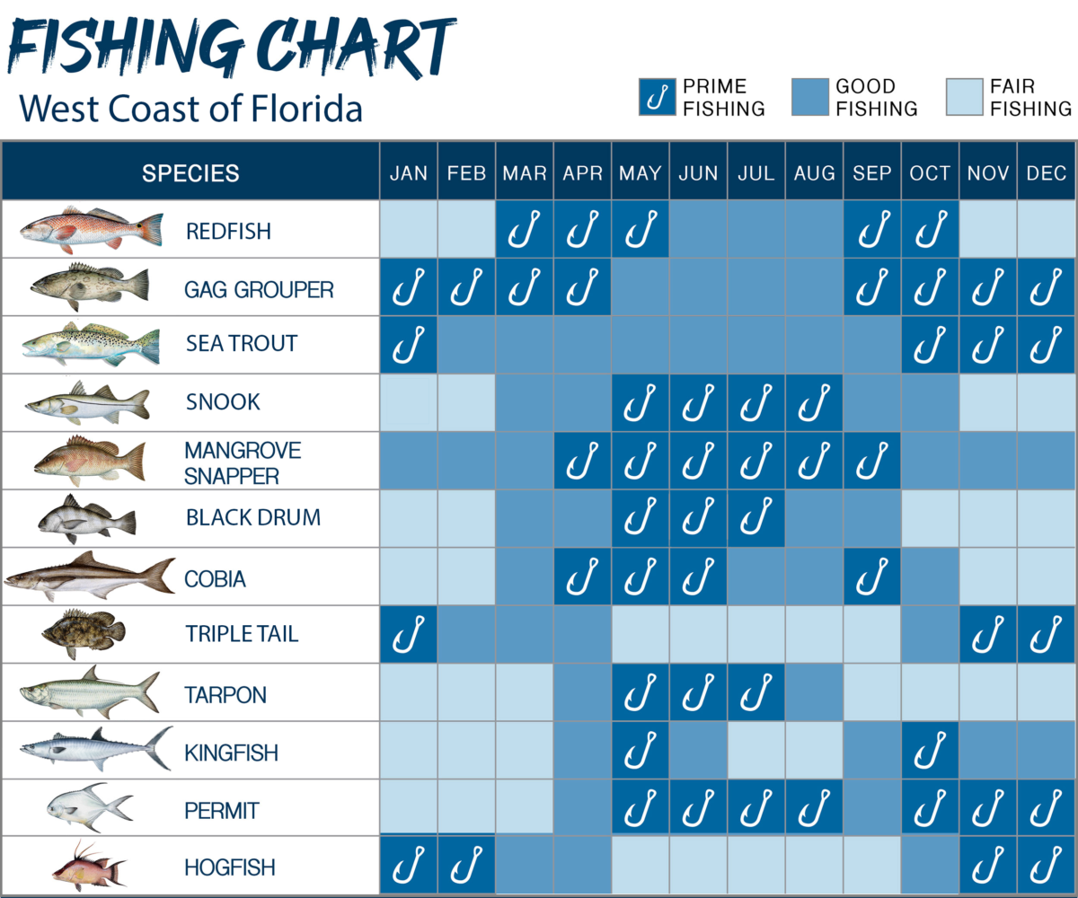 Rates – Florida Gulf Coast Charters